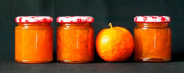 5 ideas de desayuno con naranja | Naranjas Ché